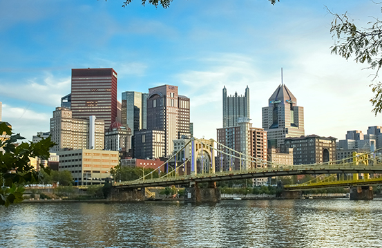 ISM Pittsburgh - Virtual Presentation - PBSRG